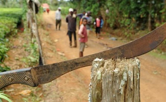 Rise of Organised Crime in Kenya - allAfrica.com