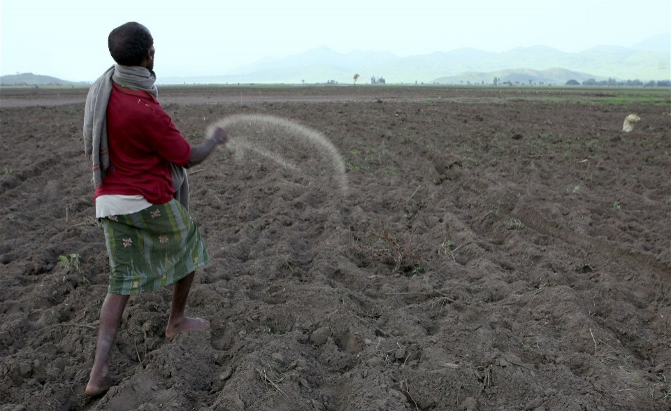 Sudan, Ethiopia Border 'To Be Finalised This Year' - allAfrica.com