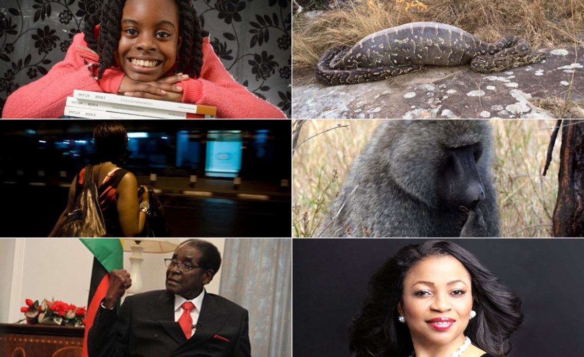Africa: AllAfrica's Top News Stories of 2015 - allAfrica.com