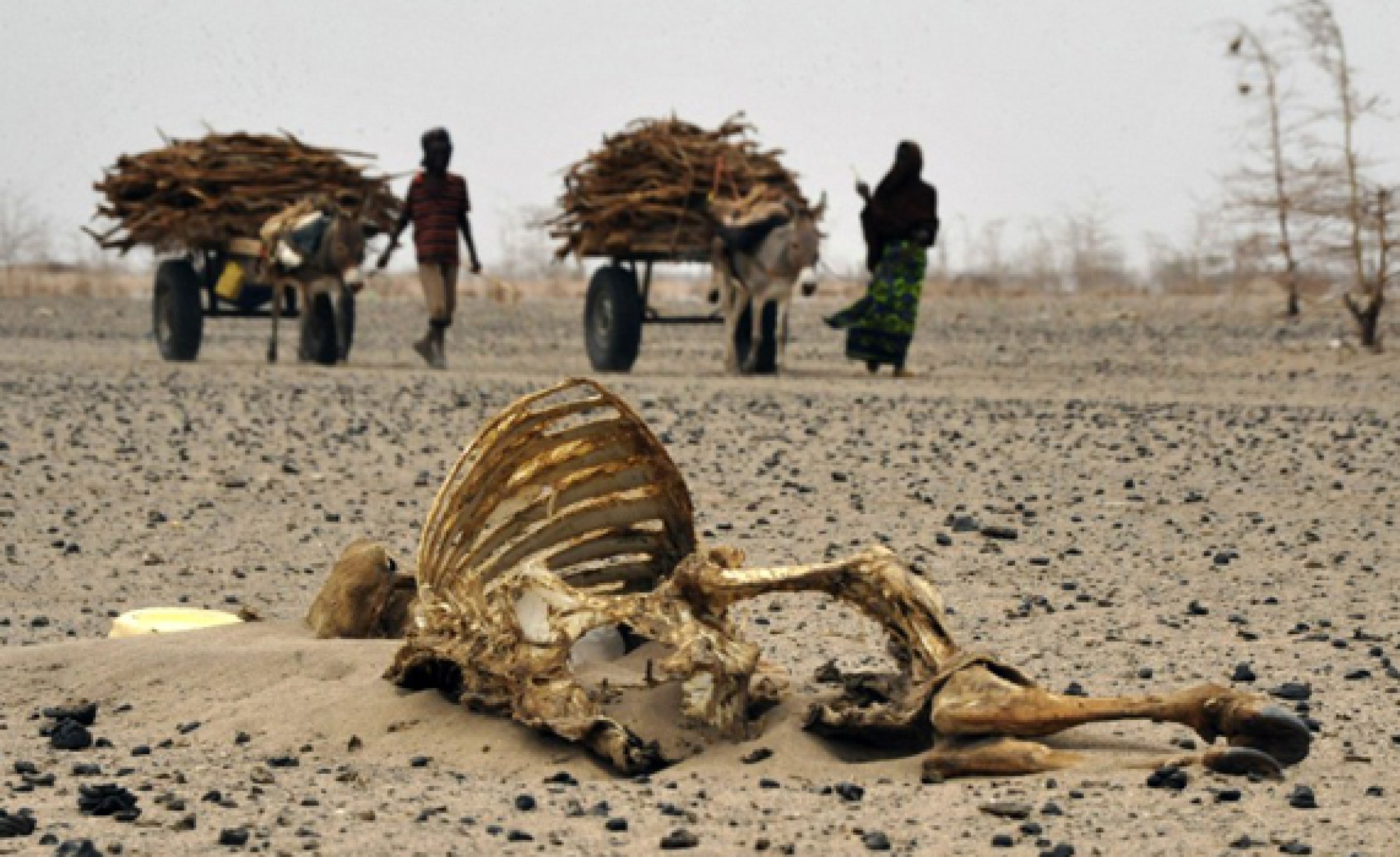 East Africa: European Union Boosts Aid to Drought-Affected Countries in ...