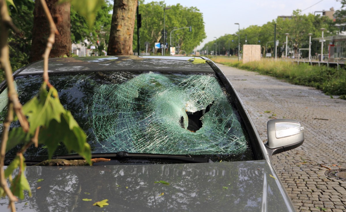 7 Ways the Environment Can Damage Your Car - allAfrica.com