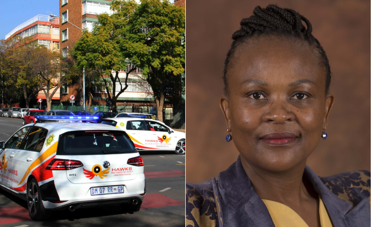 Police Unit Confirms Probe Into South African Public Protector ...