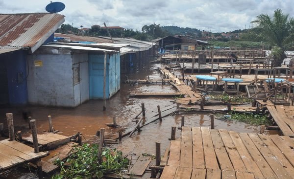 Panic as Lake Victoria's Waters Reach Alarming Levels - allAfrica.com