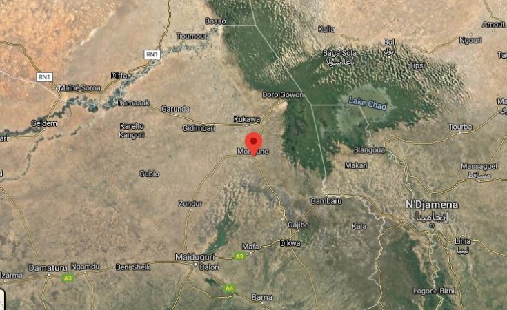 Nigeria - Islamic Militant Attacks in Borno Kill Dozens - allAfrica.com