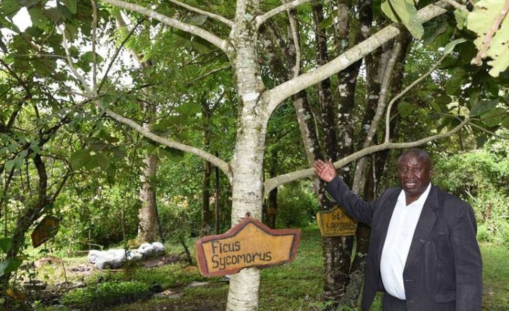 Kenya: Kitale Conservationist Takes a Different Path, and It's Paying ...
