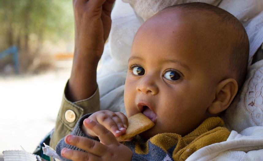 Ethiopia - 'Incomplete but Troubling Picture' Reveals Impact of Tigray ...