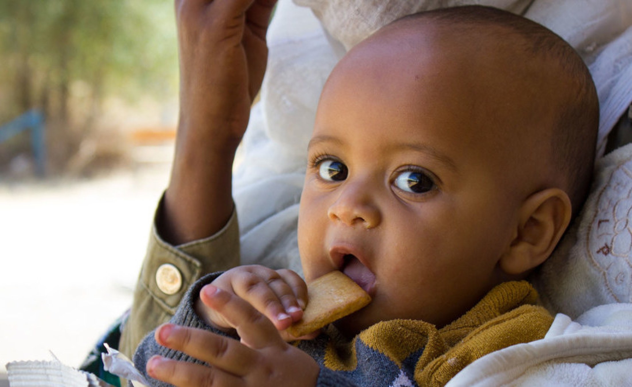 Ethiopia - 'Incomplete but Troubling Picture' Reveals Impact of Tigray ...