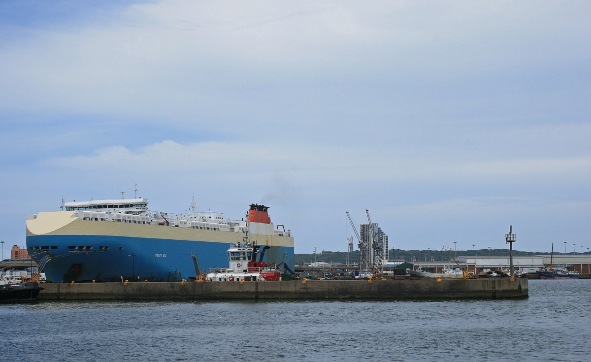 Africa's Biggest Port to be Partially Privatised - allAfrica.com