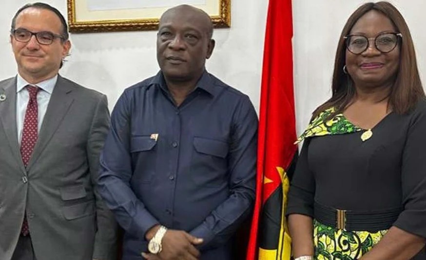 Angola – African Development Bank Vice President Akin-Olugbade On ...